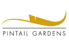 Pintail Gardens – Renewable energy, living wages, beautiful flower.